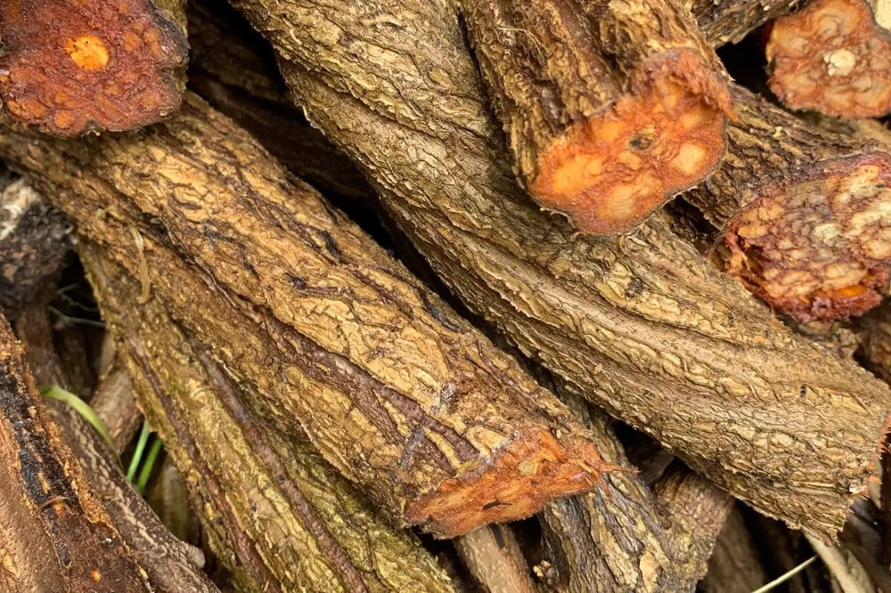 Kava, Kanna and Aya Gummies, Healing Plant Confections | Radiantfarm ...